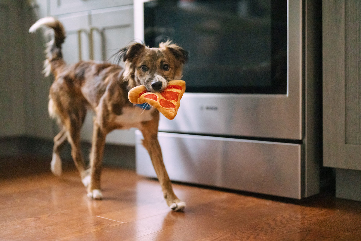 Cute and Creative Plush Dog Toys by Play Pet Brands – Page 7