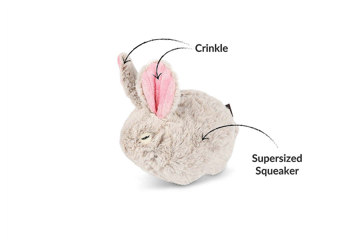 Baxter the Bunny: Squeaky Dog Toy by P.L.A.Y. – Play Pet Brands