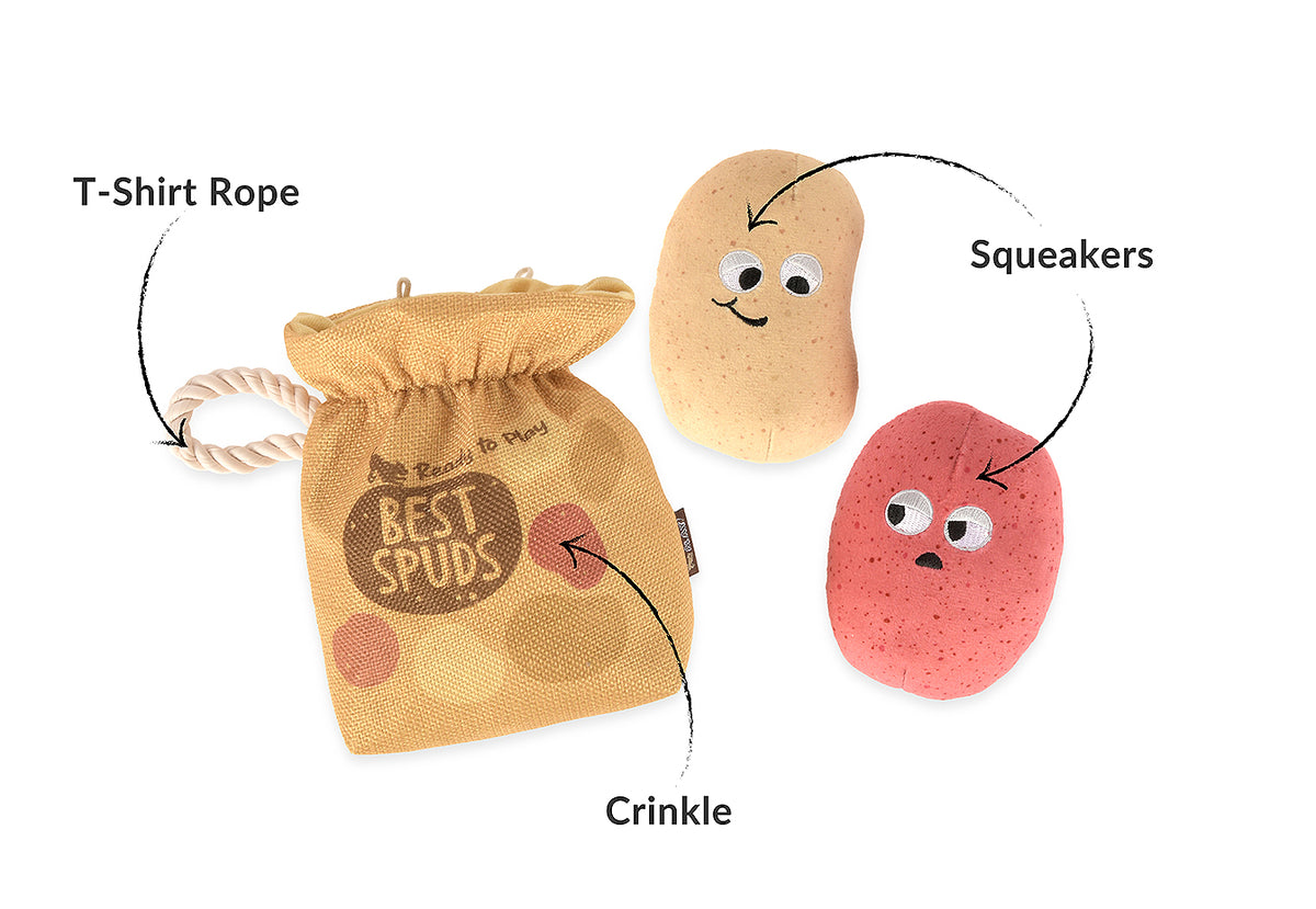 Picked Fresh Potato Pals 3-in-1 Dog Toy by Play Pet Brands