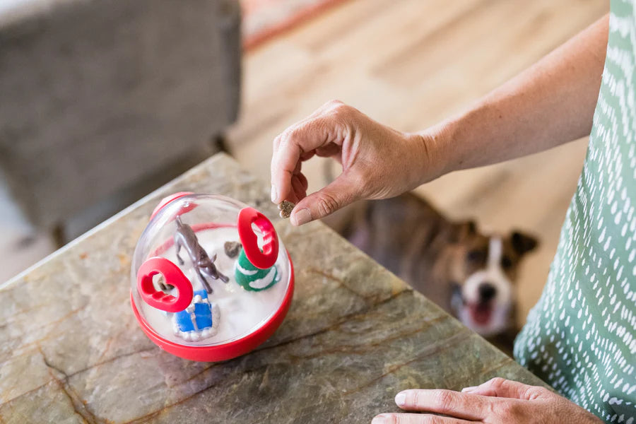 Holiday Wobble Ball 2.0 – Play Pet Brands